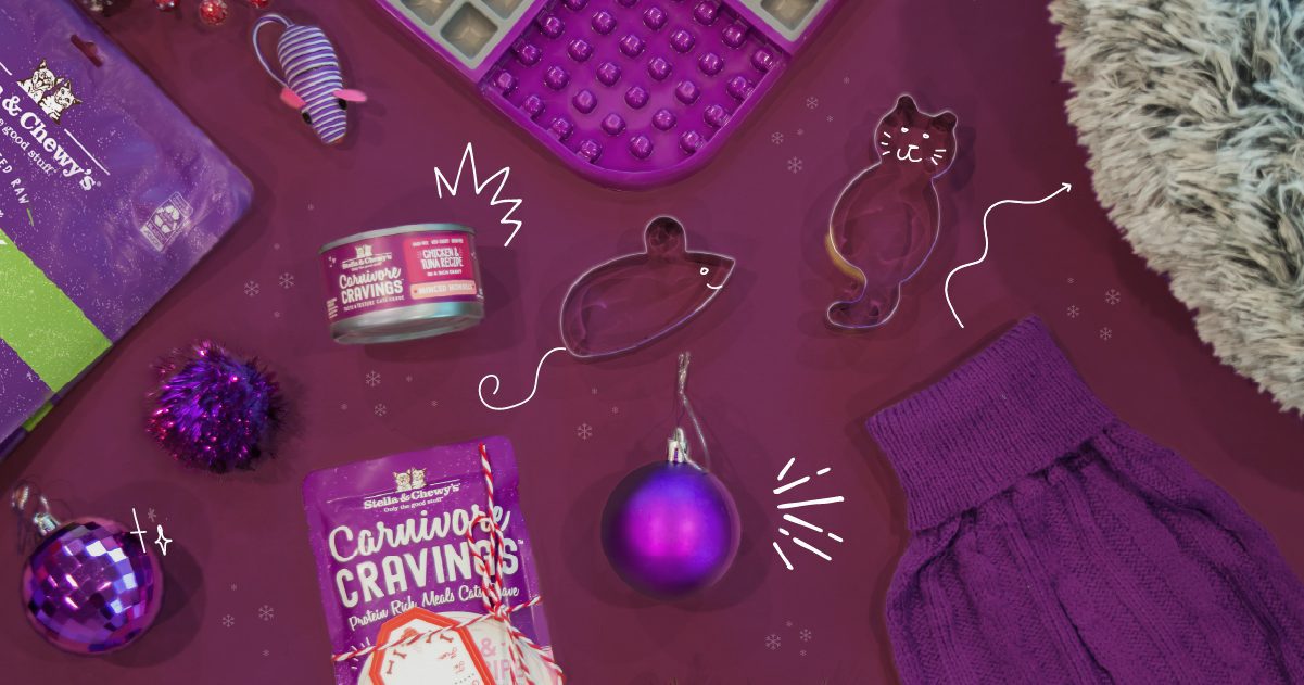 Christmas Gifts for Cats & Cat Lovers | Stella & Chewy's