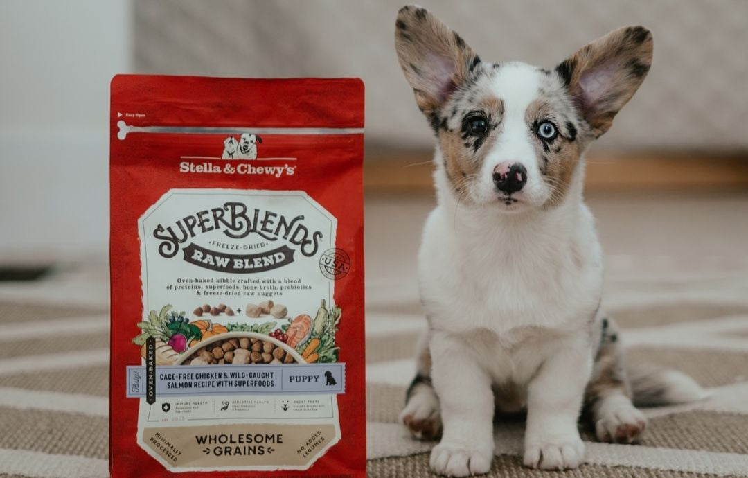 Why Our Baked Kibble Is Better for Your Pets | Stella & Chewy's ...
