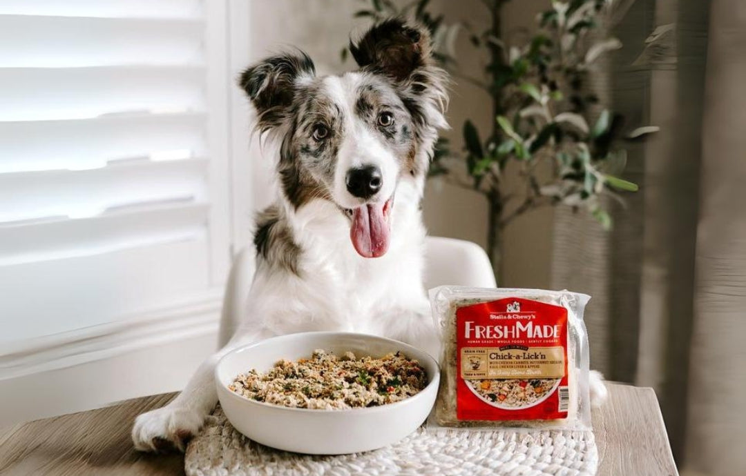 Human Grade Dog Food Explained | Stella & Chewy’s - Stella & Chewy's