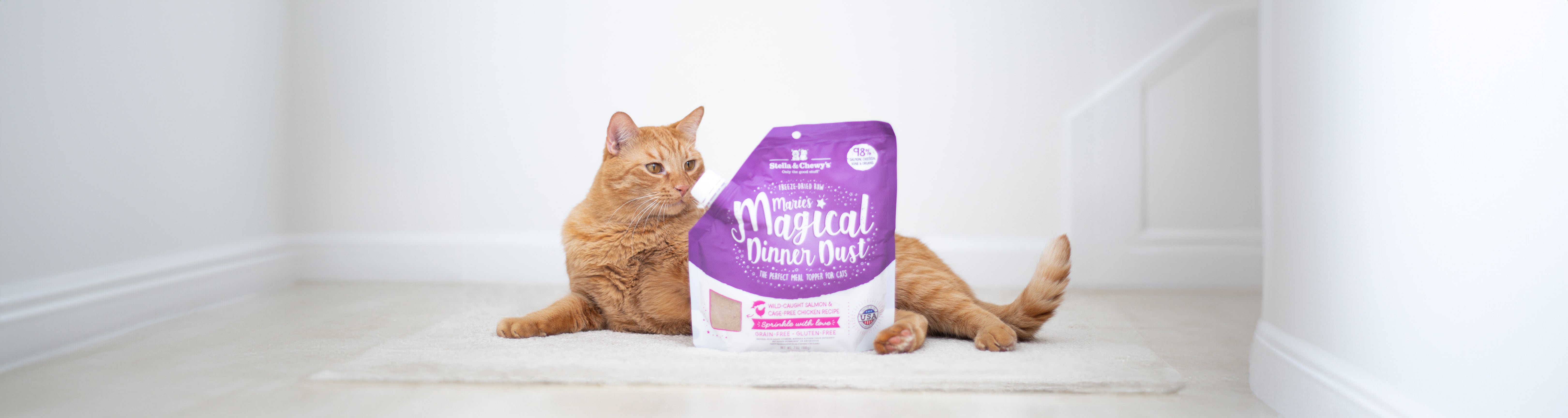 Best Seller Cat Bundles