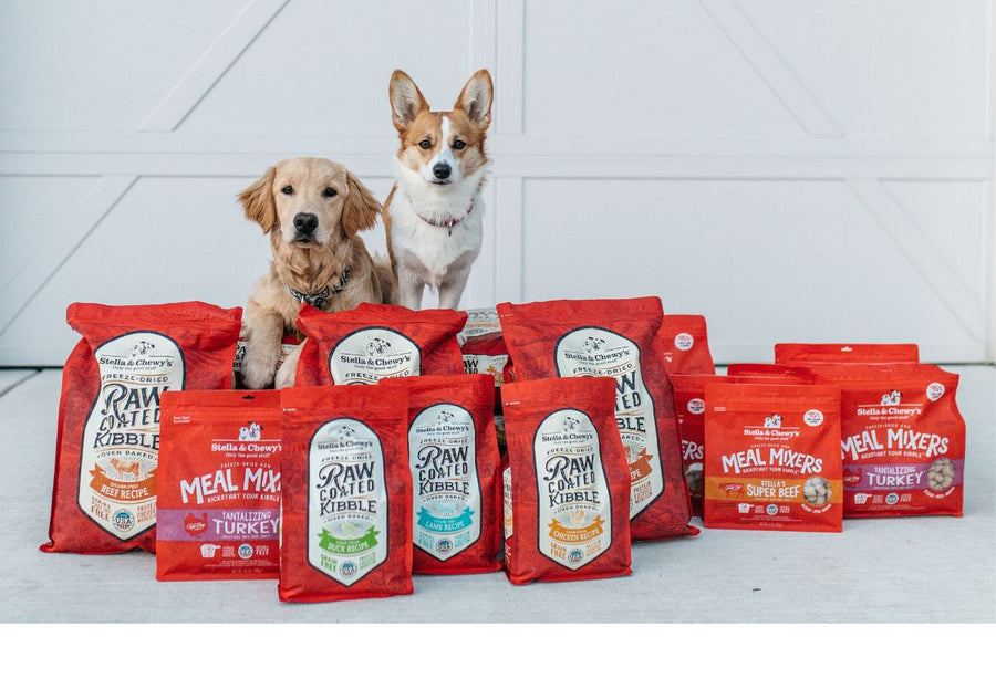 Frozen Raw Dog Food Patties | Stella & Chewy's