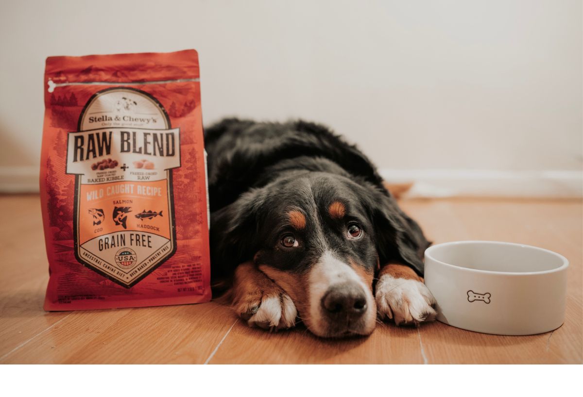Grain Free Raw Blend Baked Dog Kibble | Stella & Chewy's