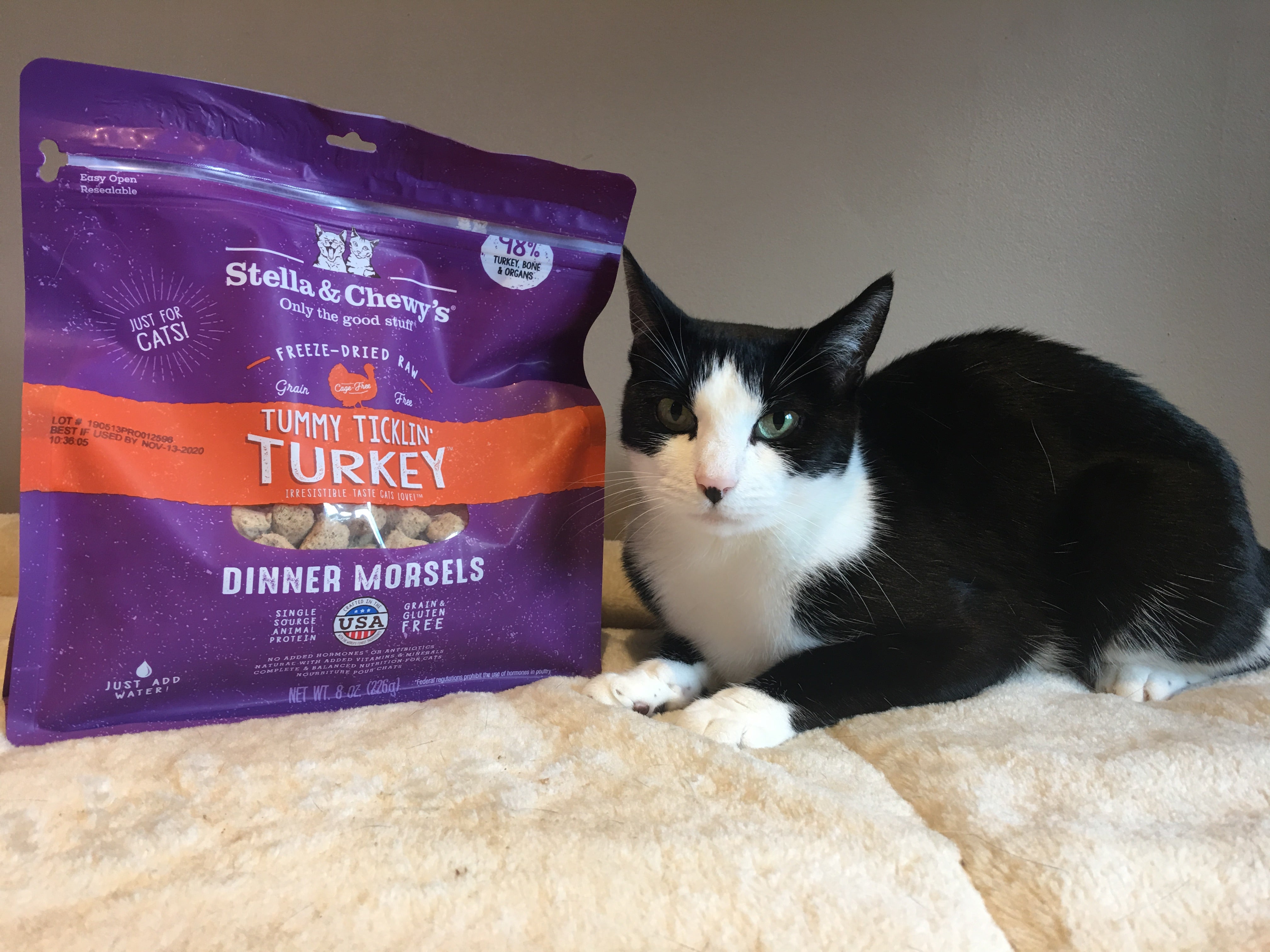 Turkey Cat Food & Treats