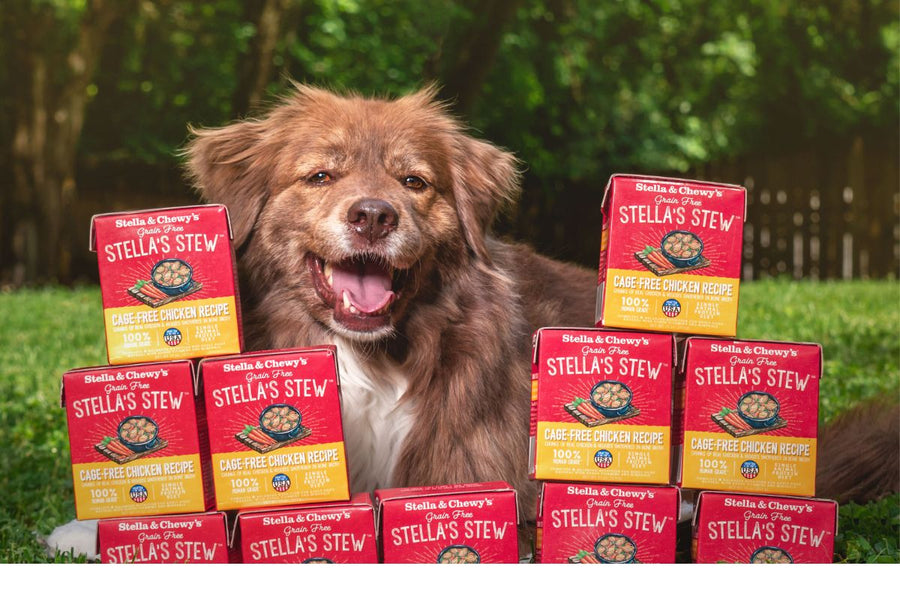 Stella’s Stew for Dogs | Stella & Chewy's