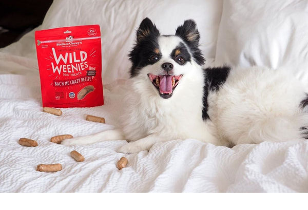 Wild Weenies Dog Treats | Stella & Chewy's