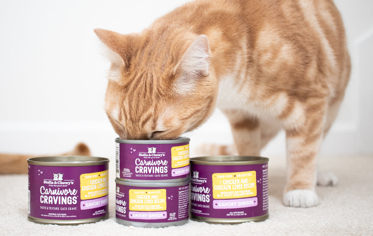 Savory Shreds: Shredded Wet Cat Food Made with Natural Ingredients ...