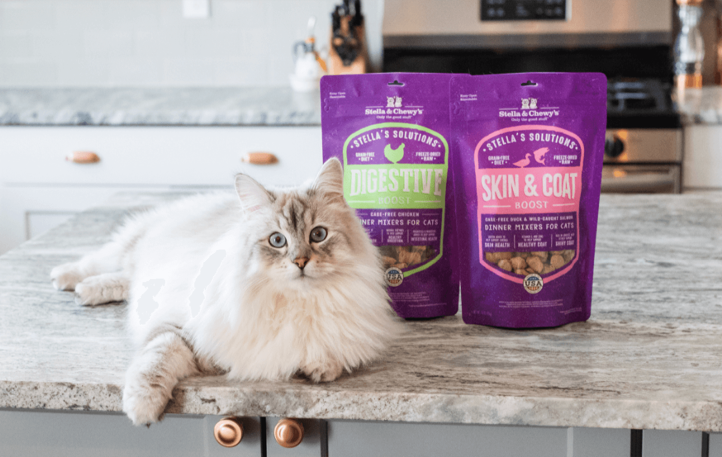Stella's Solutions for Cats: Health Support for Digestion, Skin & Coat ...