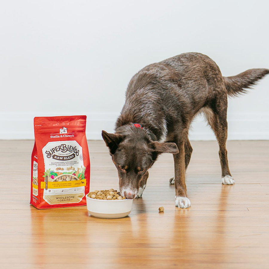 Raw Blend Dog Food | Stella & Chewy's