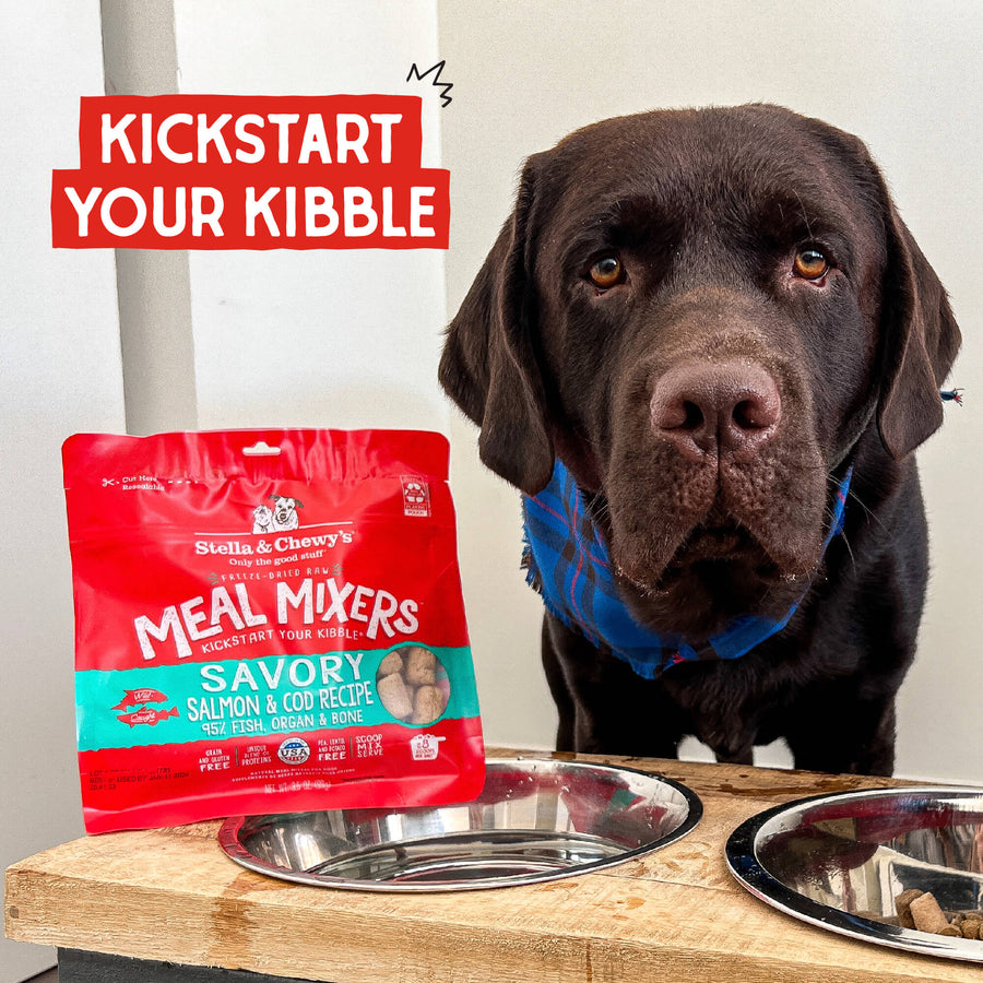 Dandy Lamb Meal Mixers for Dogs - Freeze Dried Raw Kibble Topper & Raw ...