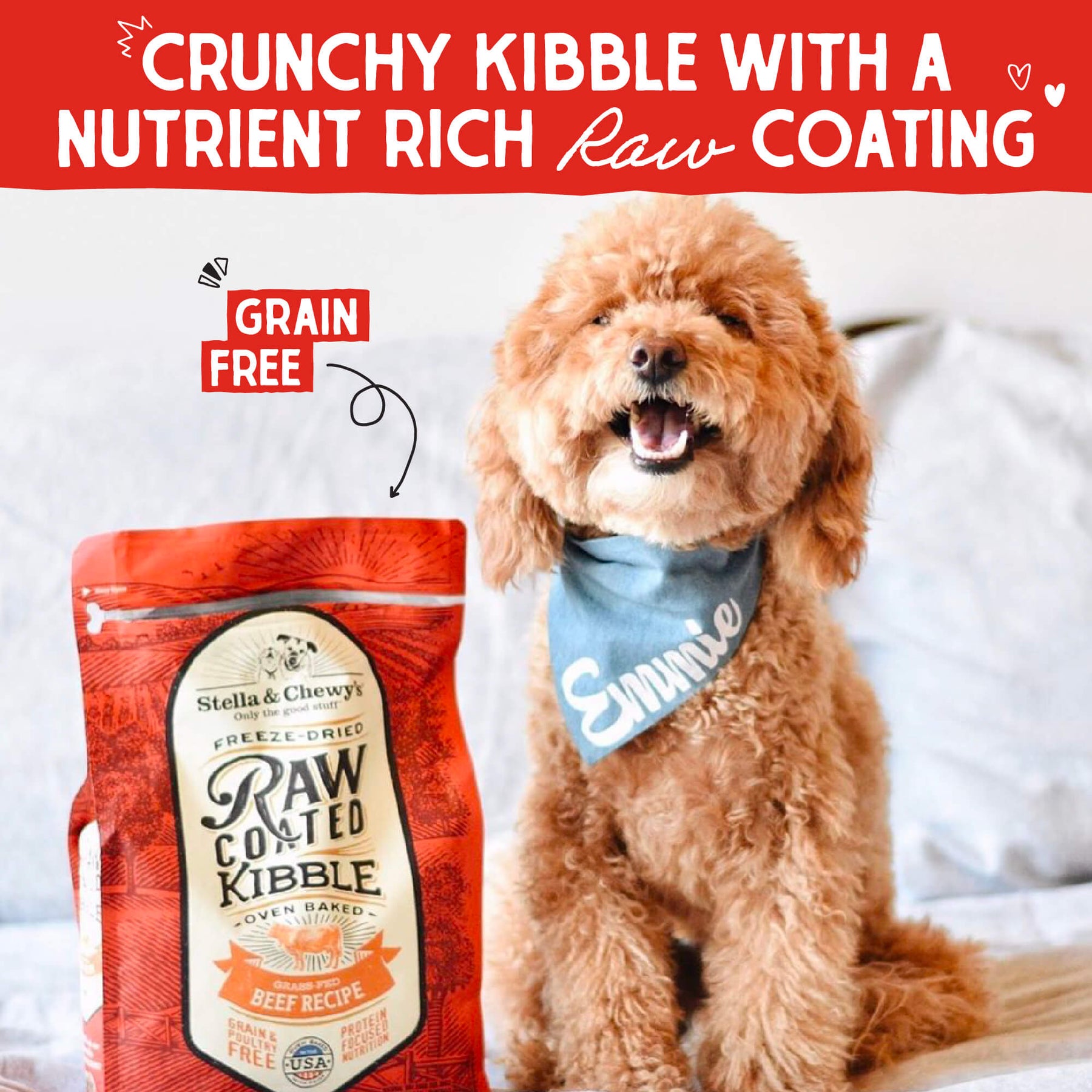 Raw Coated Grain Free Dog Food: Grass-Fed Beef Recipe - Protein Rich ...