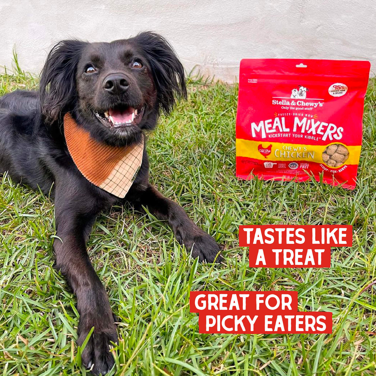 Chewy’s Chicken Meal Mixers for Dogs - Freeze Dried Raw Kibble Topper ...