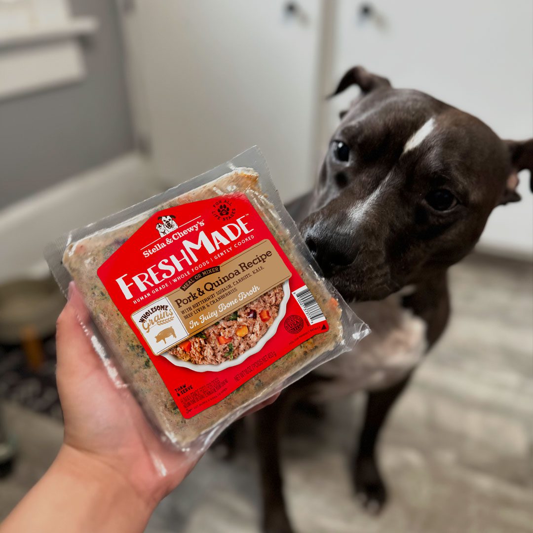 FreshMade Pork & Quinoa Recipe: Fresh Dog Food, Gently Cooked & 100% ...