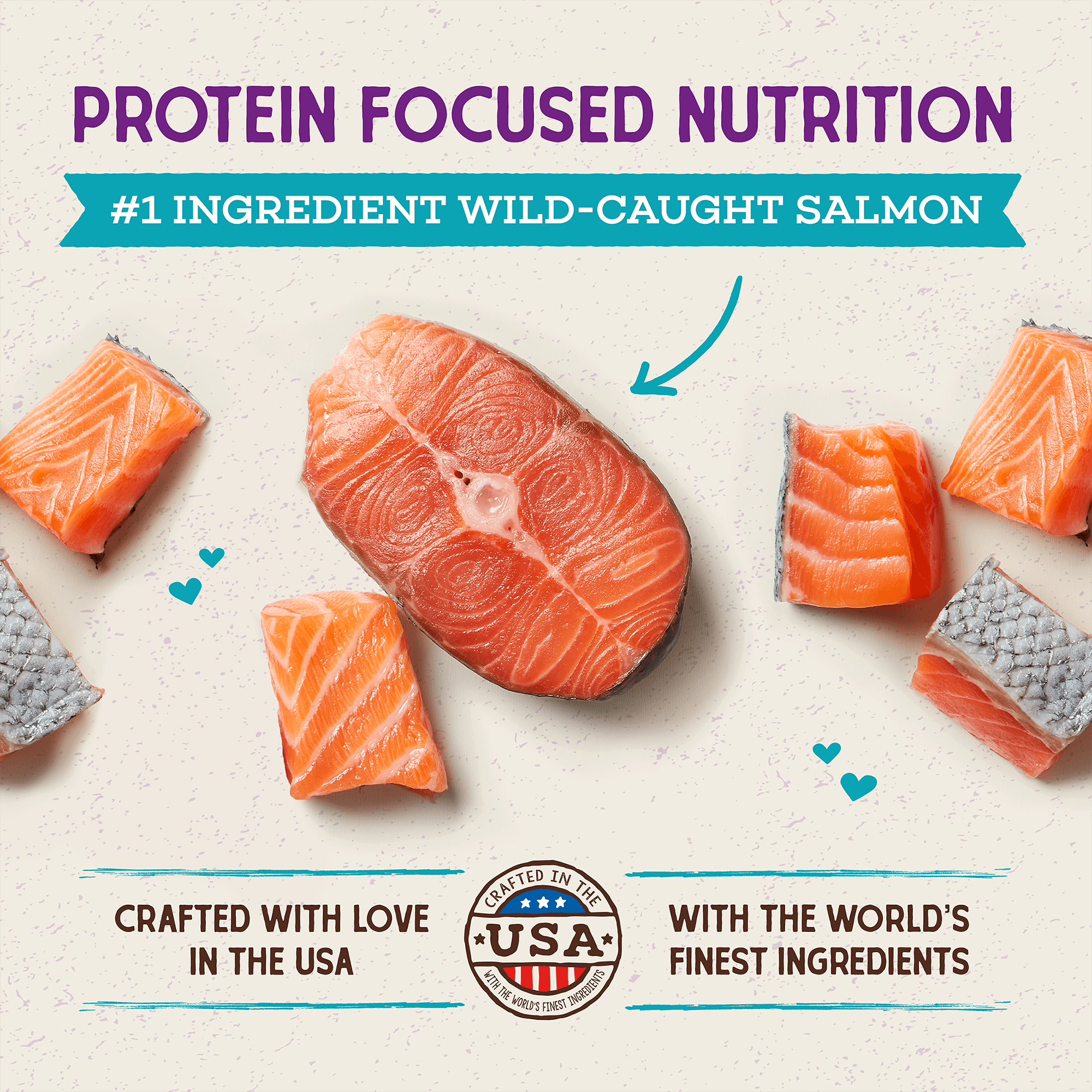 Raw Coated Cat Kibble: Wild-Caught Salmon Recipe - Grain Free, Poultry ...