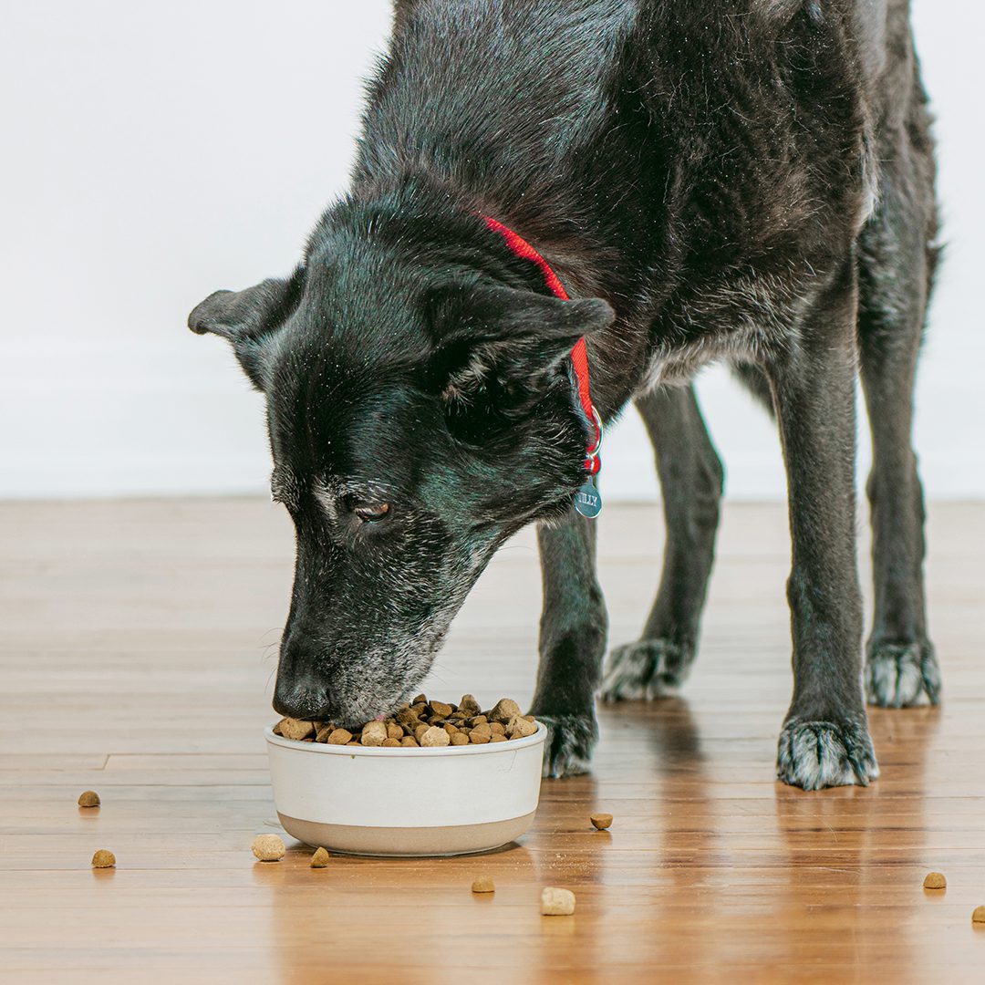 SuperBlends Raw Kibble Blend: Beef & Lamb + Superfoods | Stella ...