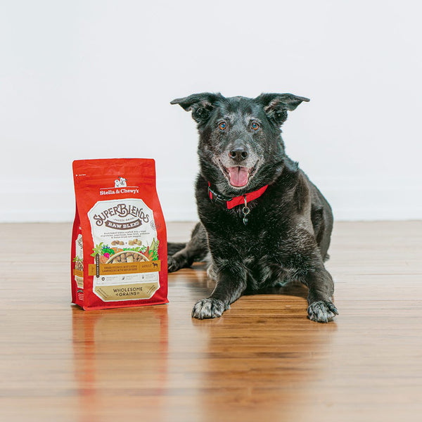 SuperBlends Raw Kibble Blend: Beef & Lamb + Superfoods | Stella ...