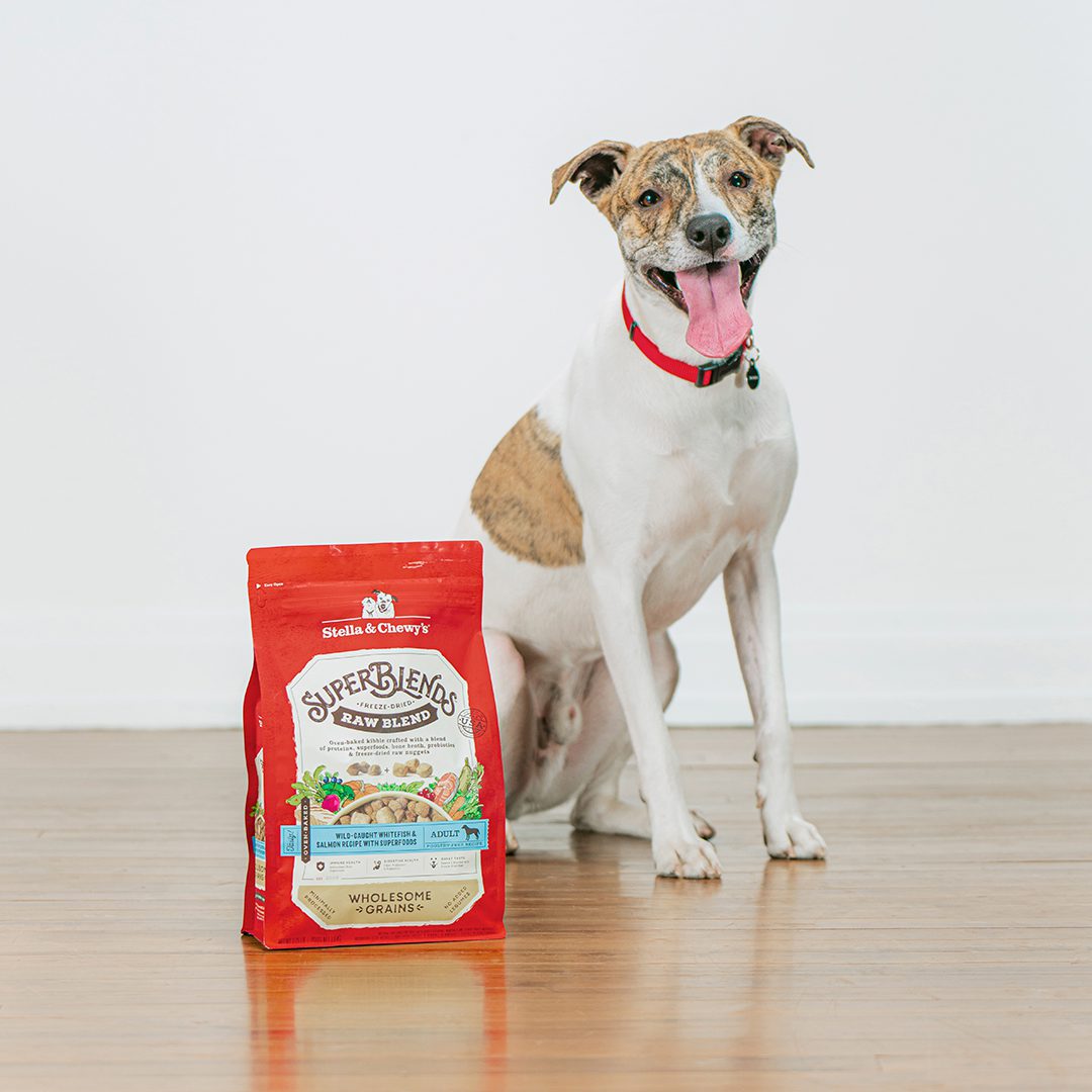 SuperBlends Whitefish & Salmon Dry Dog Food: Raw Blend Oven Baked ...