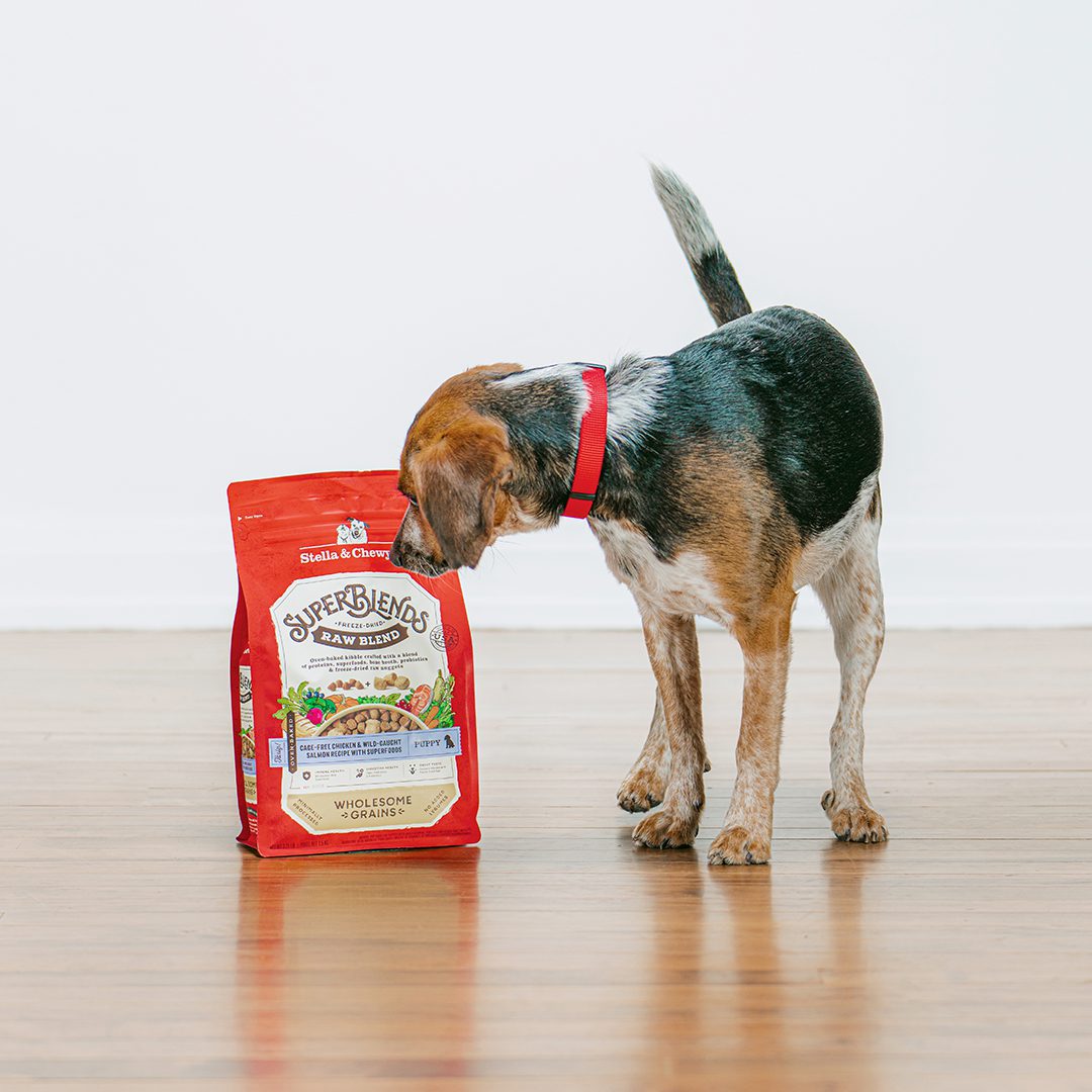 SuperBlends Raw Blend Puppy Kibble: Chicken, Salmon + Superfoods ...