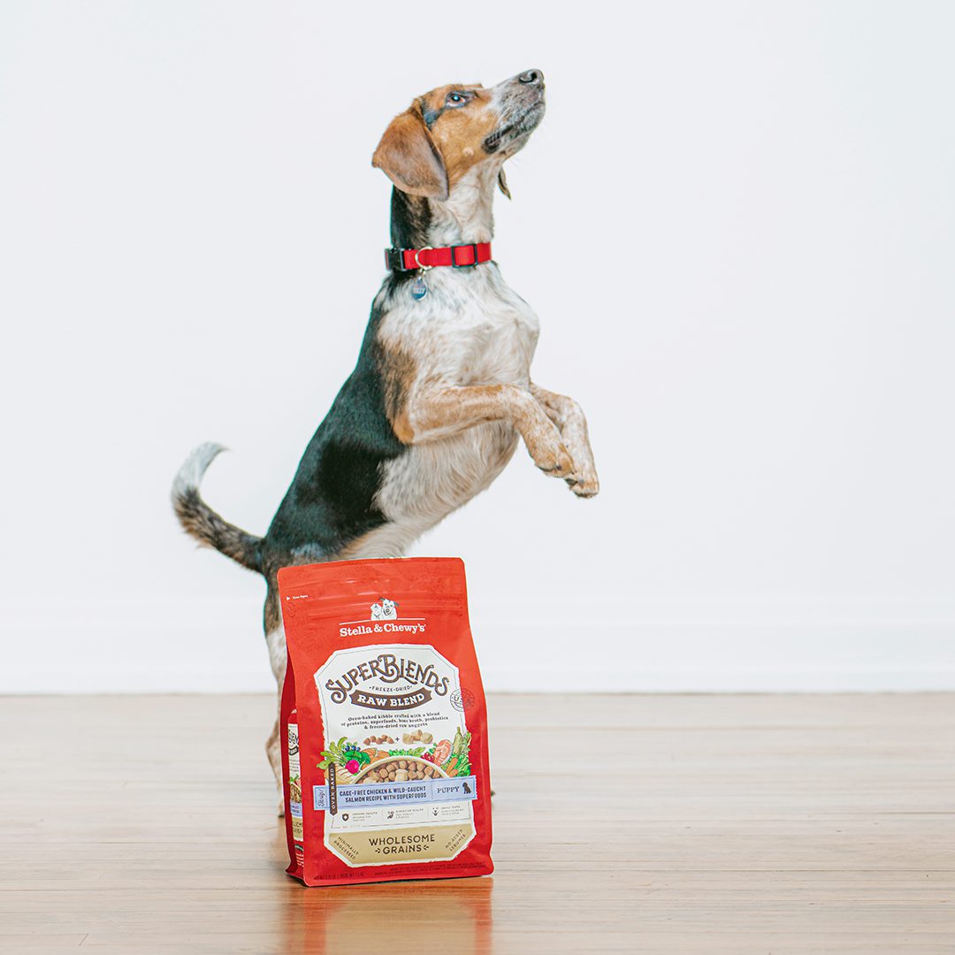 SuperBlends Raw Blend Puppy Kibble: Chicken, Salmon + Superfoods ...