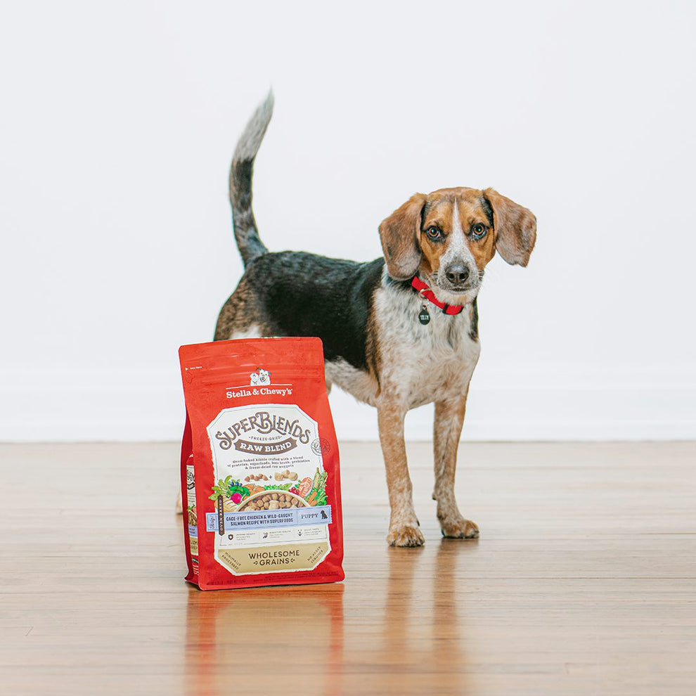 SuperBlends Raw Blend Puppy Kibble: Chicken, Salmon + Superfoods ...